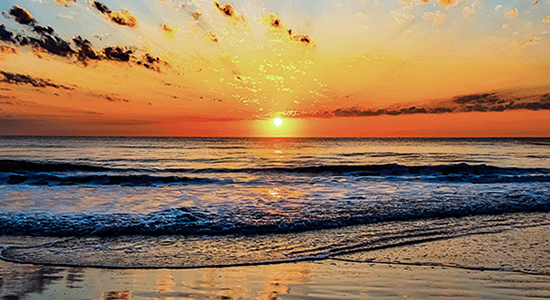 The Caribbean Sun Lens – Caribbean Sun Eyewear